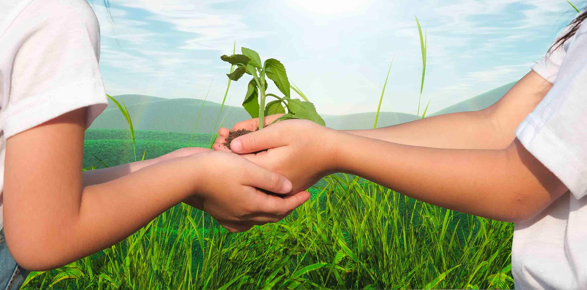 NTC Pharma | Our contribution to the United Nations Sustainable ...